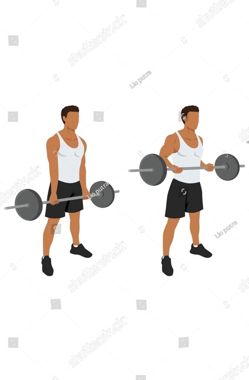 The Best Bicep Exercises and Bicep Workout 101 - FITFOND